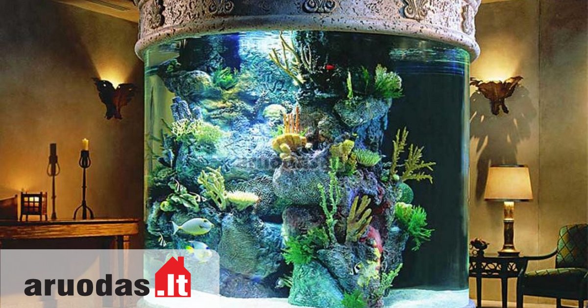 Didelis akvariumas - ryškus kambario akcentas - Interjero idėjos ...