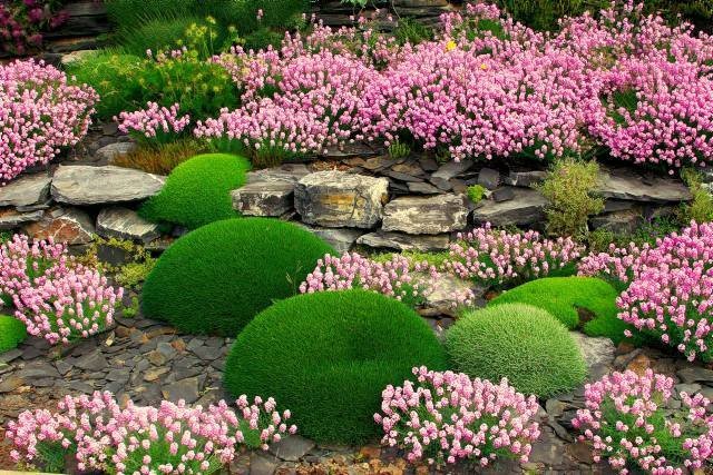 Kontrastinga gėlių ir akmenų idėja - Interjero idėjos - Aruodas.lt