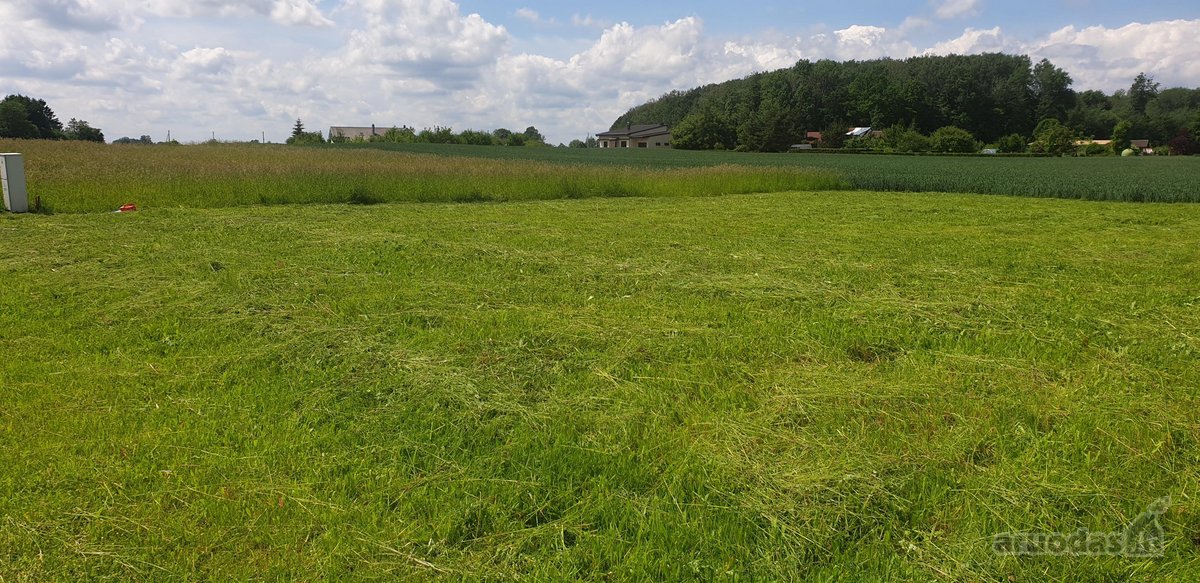 Bendra Informacija: - Skelbiu.lt