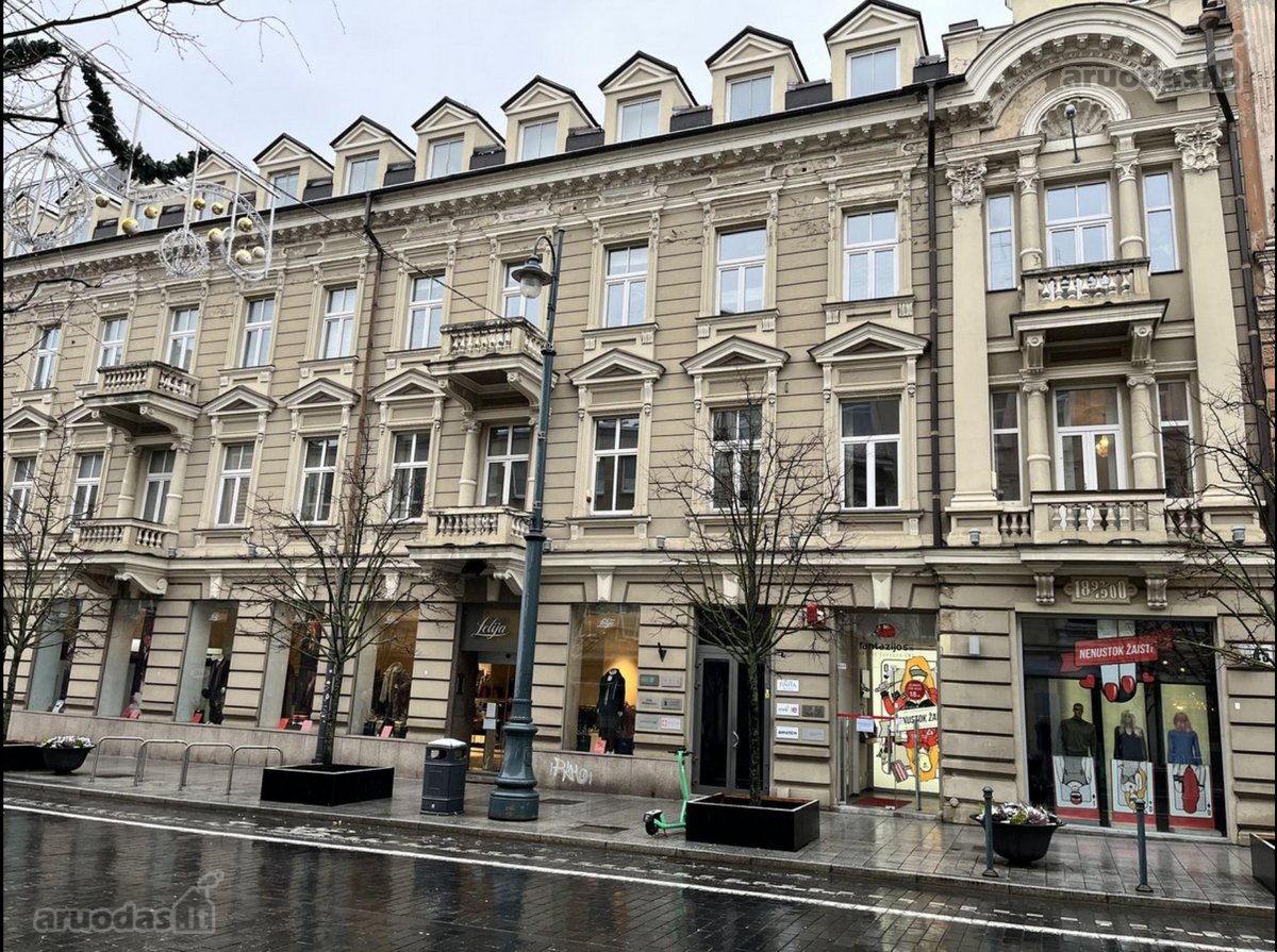 Butas, Vilniuje Naujamiestyje Gedimino pr., 1 kambario butas ...