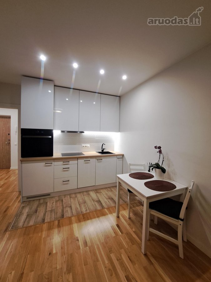 Naujos Statybos Butas Prie Ozo Su Parkingu - Skelbiu.lt