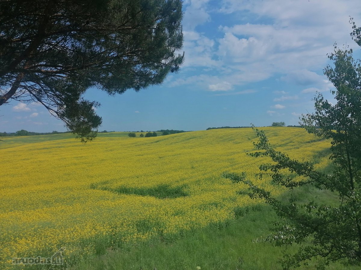 Sklypas, Molėtų r. Arnionių II k. Senoji g. sklypas Nekilnojamo turto ...