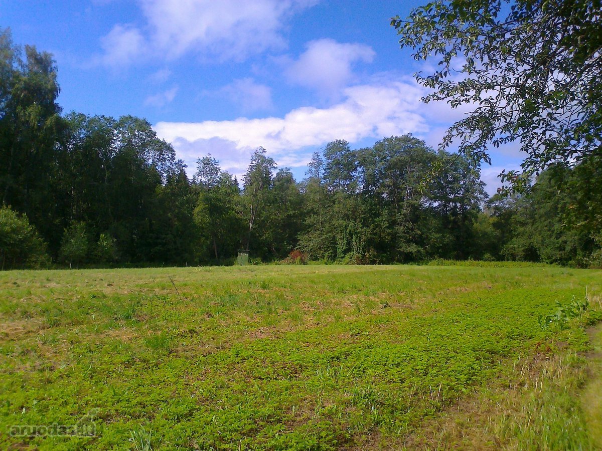 Sklypas, Anykščių r. Šeimyniškėlių k. Ąžuolų g. sklypas Nekilnojamo ...
