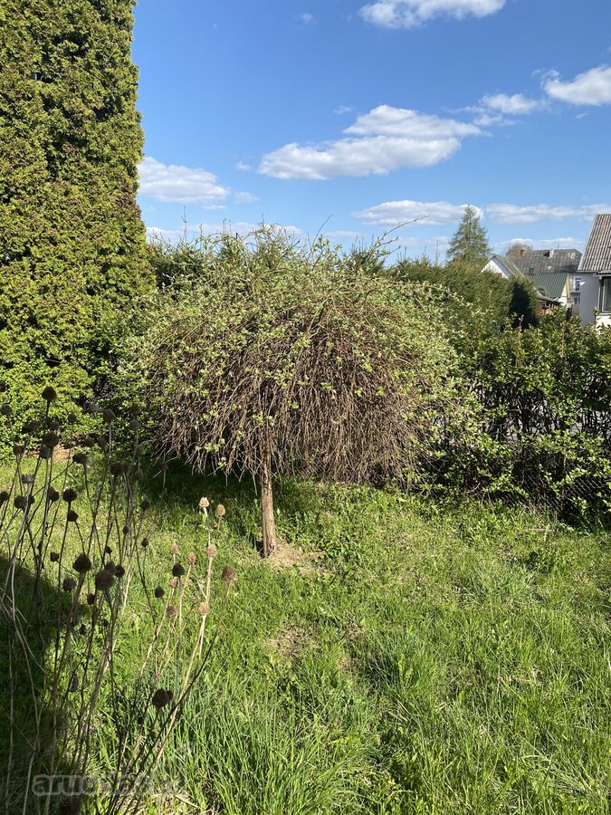 Namas, Anykščių r. Kavarsko m. Jono Biliūno g., mūrinis namas ...