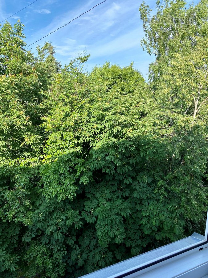 Butas, Alytuje Putinuose Lauko g., 2 kambarių butas Nekilnojamo turto ...