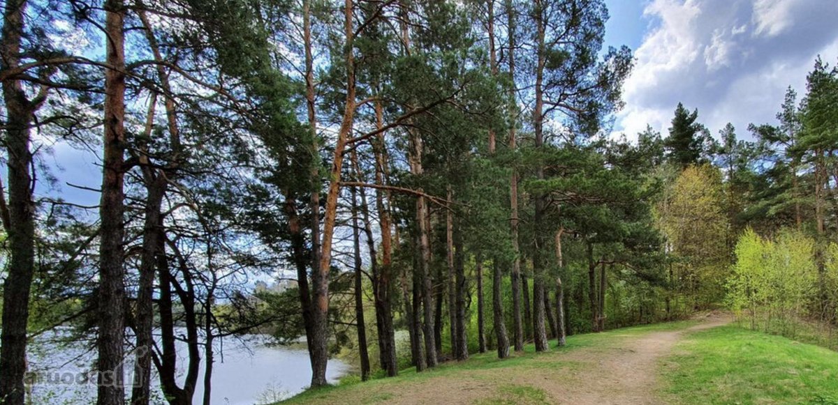 Sklypas, Vilniuje Didžiuosiuose Gulbinuose Butvydo g. sklypas ...