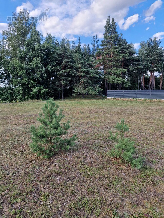 Sklypas, Varėnos r. Senosios Varėnos k. Lakštingalų g. sklypas ...