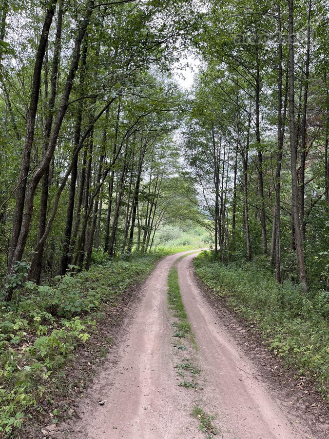 Sklypas, Kauno r. Kuro k. Jovarų g. sklypas Nekilnojamo turto skelbimai - Aruodas.lt
