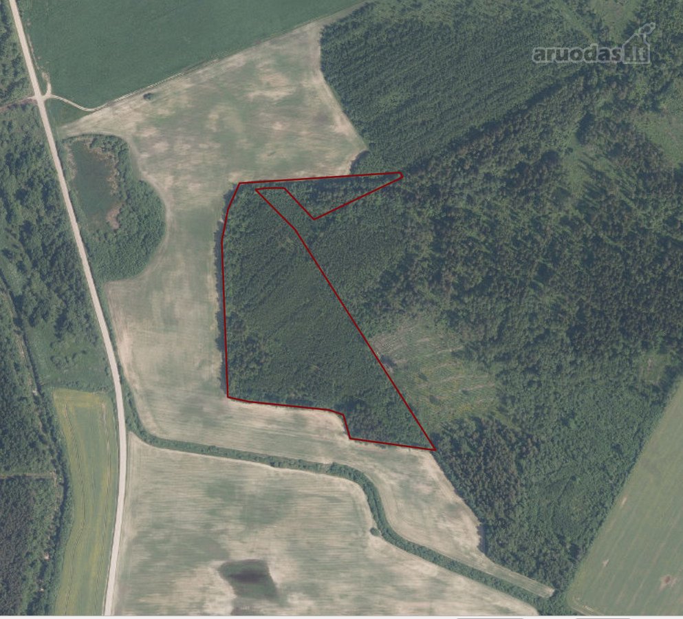 Sklypas, Anykščių r. Naujonių k. sklypas Nekilnojamo turto skelbimai ...