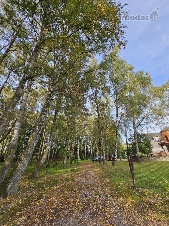 Sklypas, Šiauliuose Šimšėje Pelkių g. sklypas - Aruodas.lt