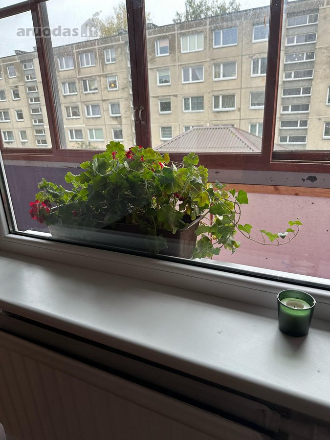 Butas, Vilniuje Lazdynuose Žėručio g., 2 kambarių butas Nekilnojamo ...