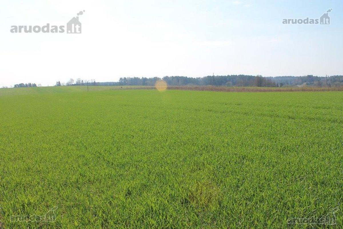 Sklypas, Šiaulių r. Mekių k. Bazilionų g. sklypas Nekilnojamo turto ...