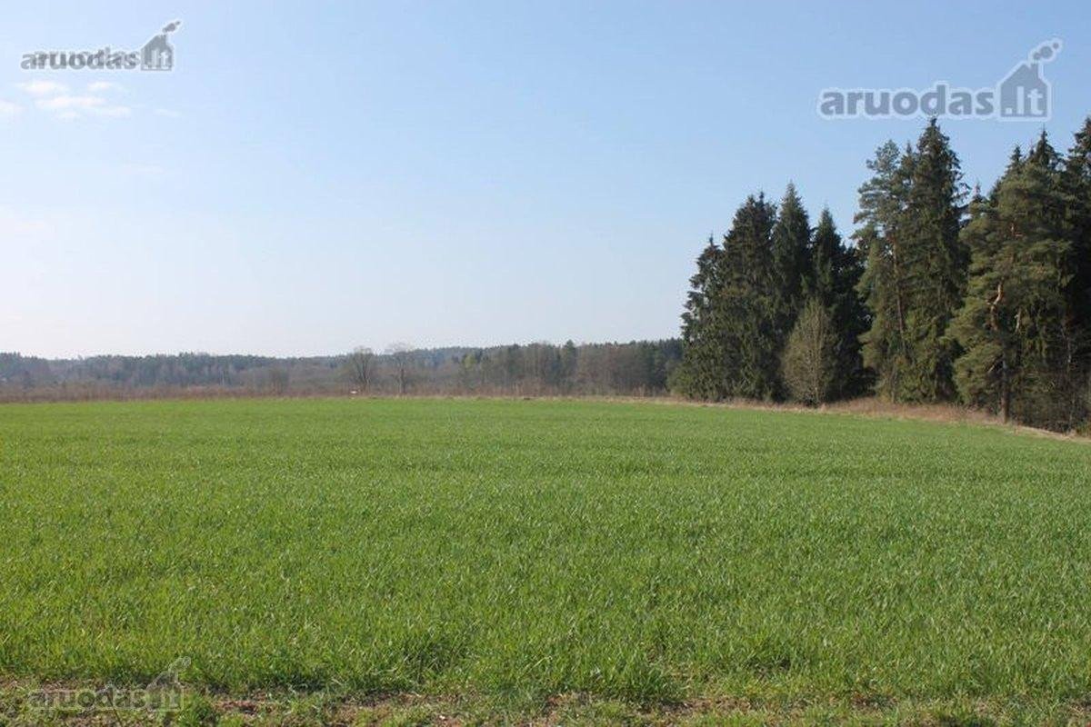 Sklypas, Šiaulių r. Mekių k. Bazilionų g. sklypas Nekilnojamo turto ...