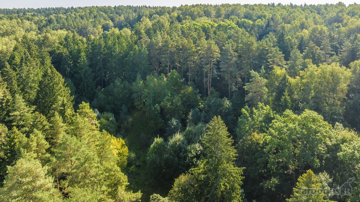 Sklypas, Vilniuje Valakampiuose Aukštagirio g. sklypas Nekilnojamo ...