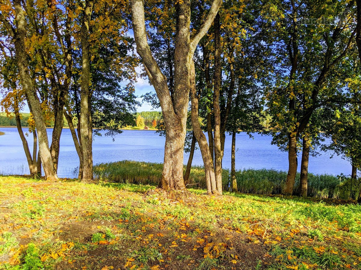 Parduodamas 19 arų sklypas prie Margio ežero. - Skelbiu.lt