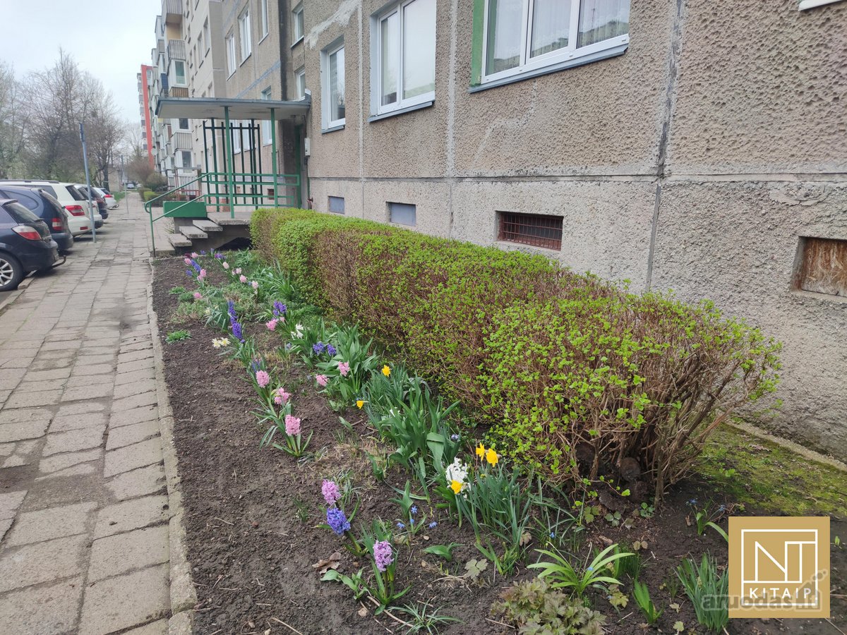 Perliukas geidžiamiausiame – antrame aukšte. - Skelbiu.lt