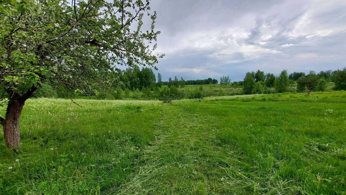 Sklypas, Molėtų r. Migiškių k. Girsteitiškio g. sklypas Nekilnojamo ...