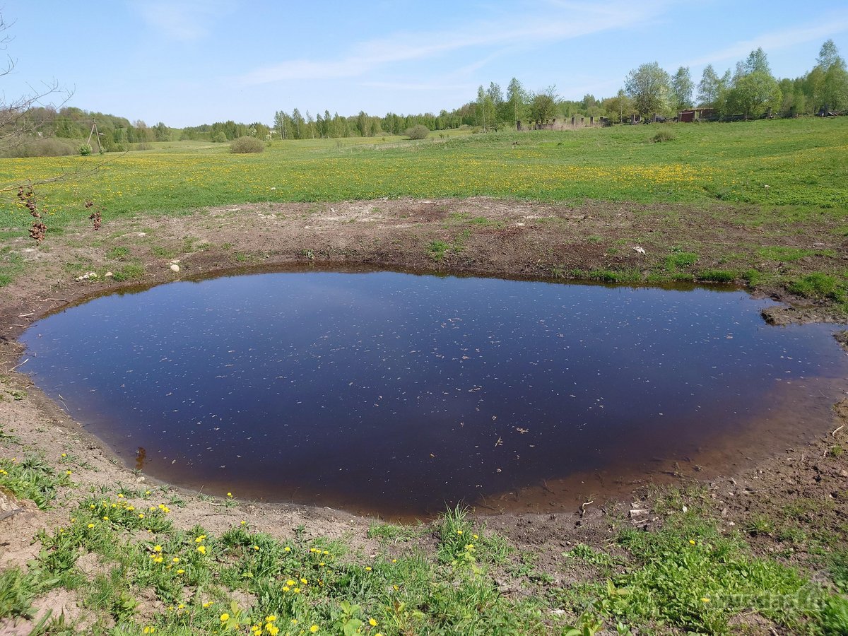 Sklypas, Molėtų r. Karklynės k. sklypas Nekilnojamo turto skelbimai ...