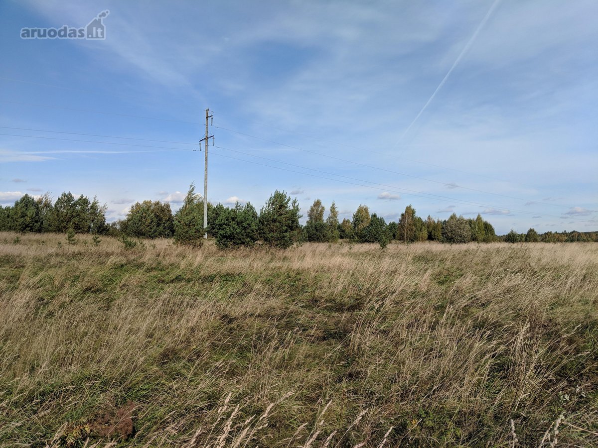Sklypas, Vilniaus r. Dvyliškio k. sklypas Nekilnojamo turto skelbimai ...