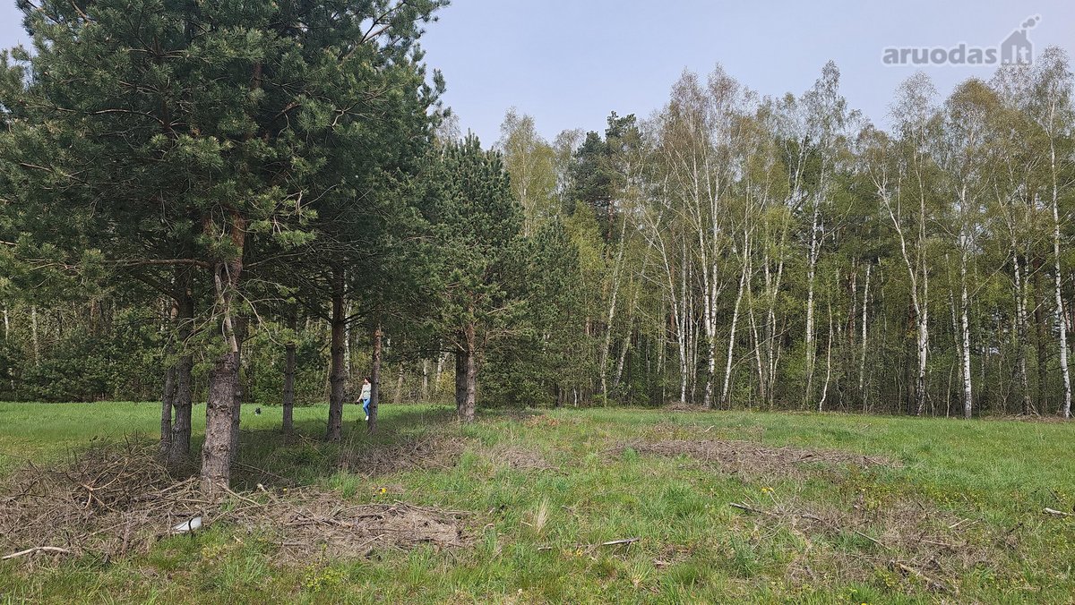 Sklypas, Kretingos r. Parąžės k. Vytauto g. sklypas Nekilnojamo turto ...