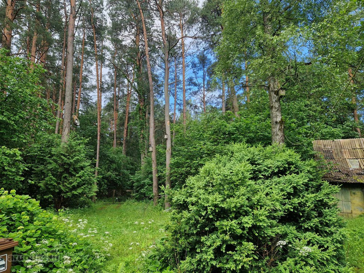 Sklypas, Alytuje Putinuose Voveraičių g. sklypas Nekilnojamo turto ...