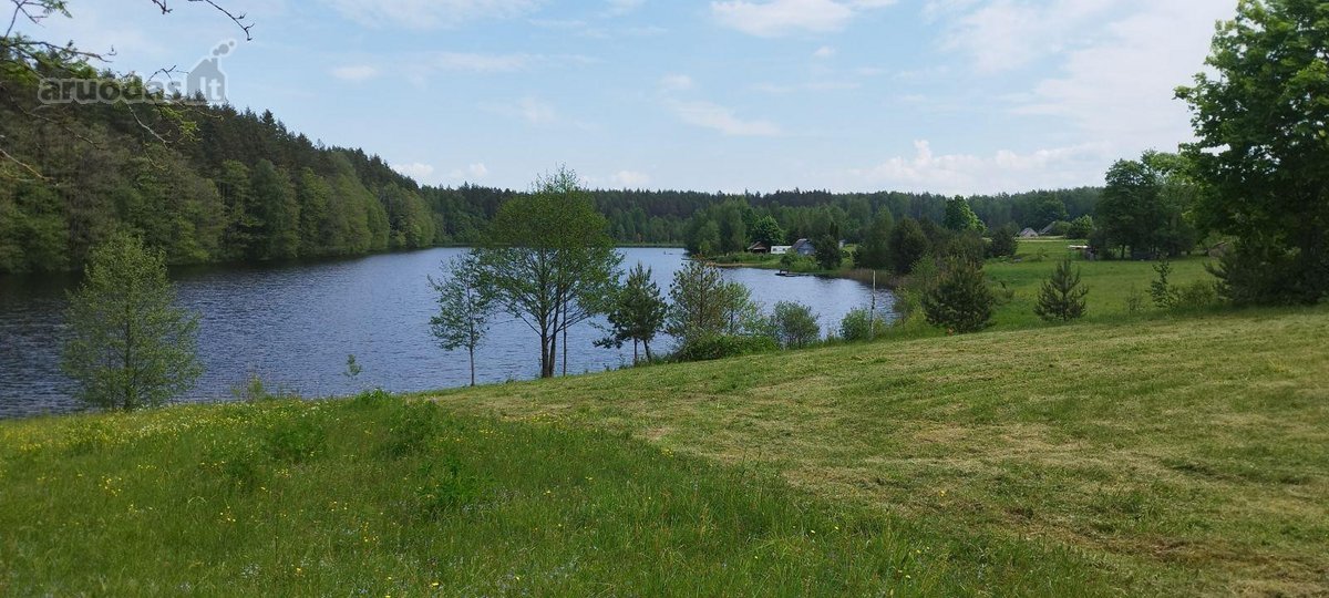 Sklypas, Molėtų r. Budriškių k. sklypas Nekilnojamo turto skelbimai ...