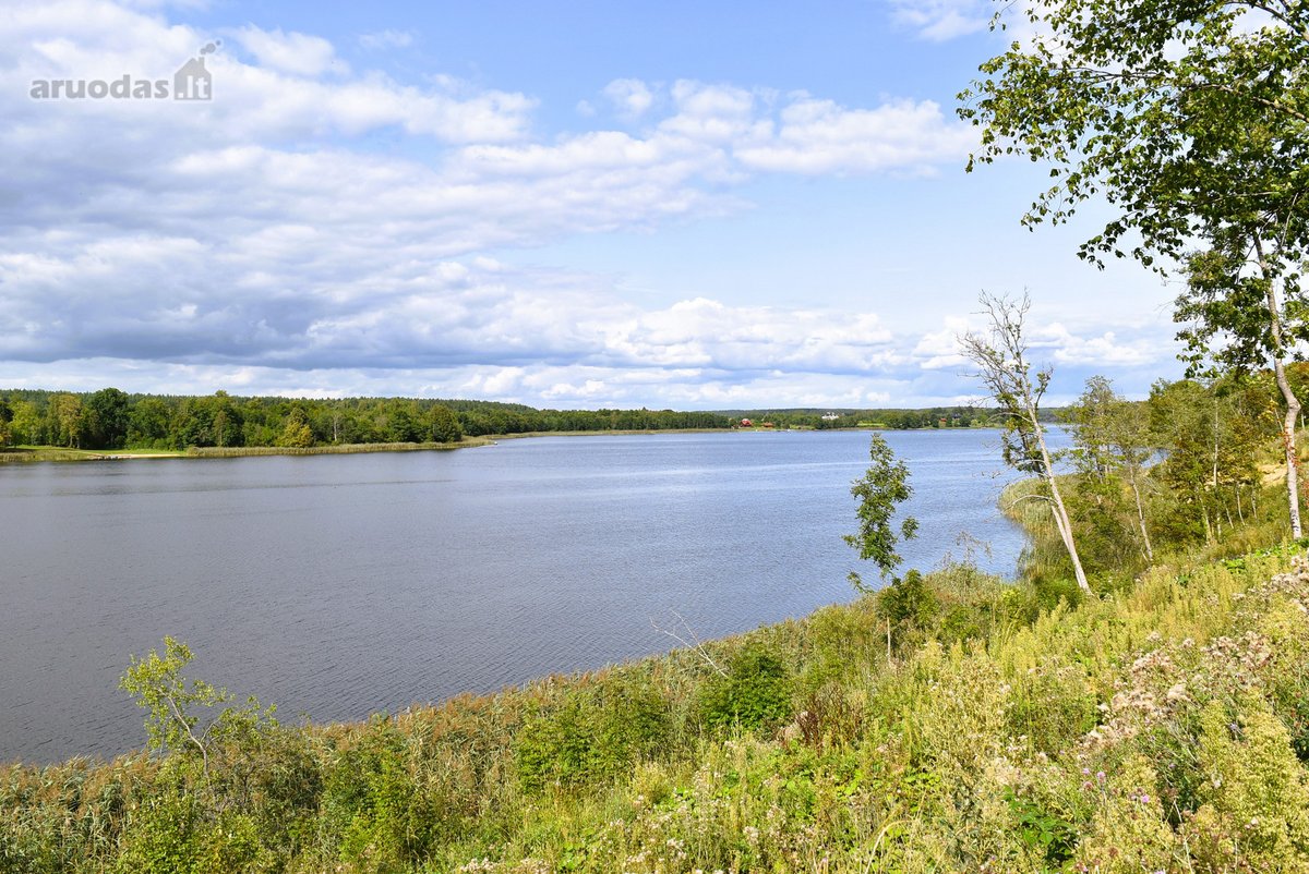 Sklypas, Molėtų r. Ažuožerių k. Vilų g. sklypas Nekilnojamo turto ...