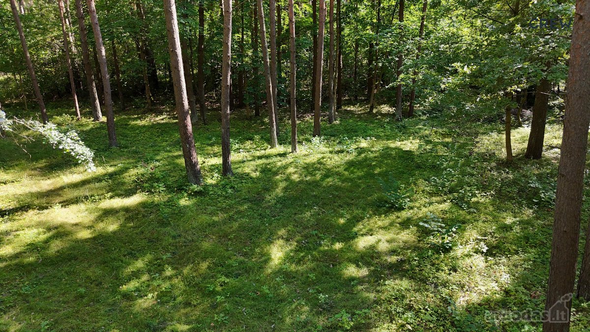 Sklypas, Vilniuje Valakampiuose Gervuogių g. sklypas Nekilnojamo turto ...