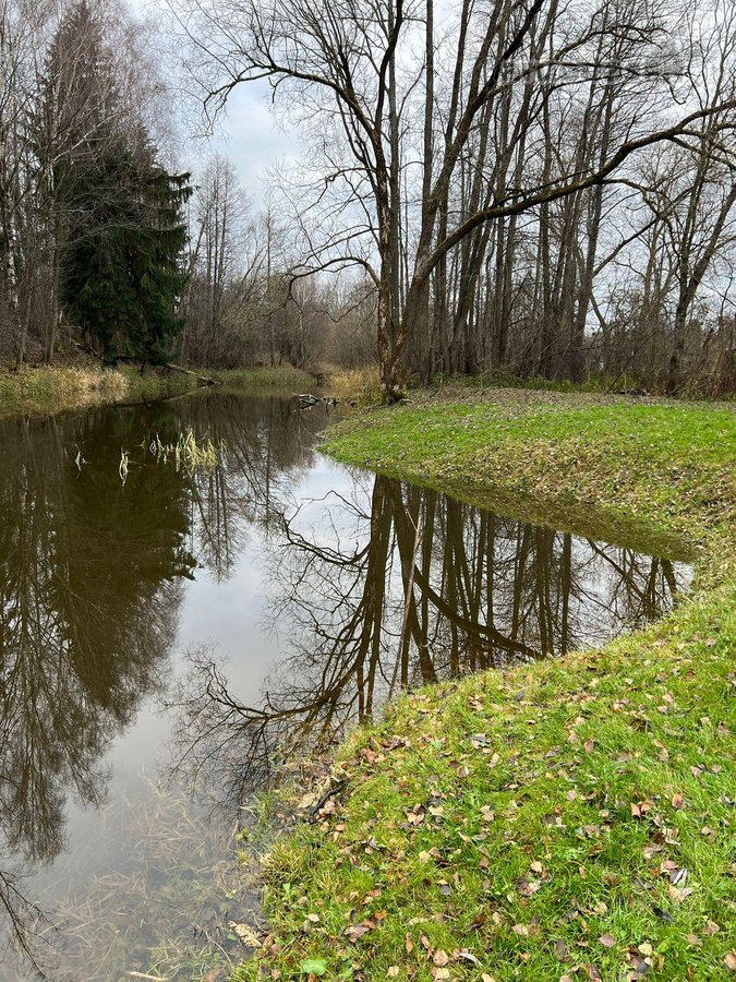 Kaina Tik Iki Gruodžio 15d! Kitaip Sodas Bus - Skelbiu.lt