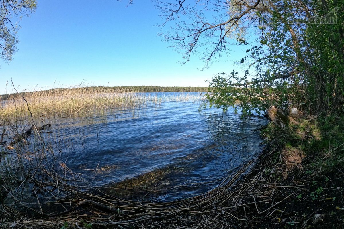 Sklypas, Zarasų r. Drobiškių k. sklypas Nekilnojamo turto skelbimai ...