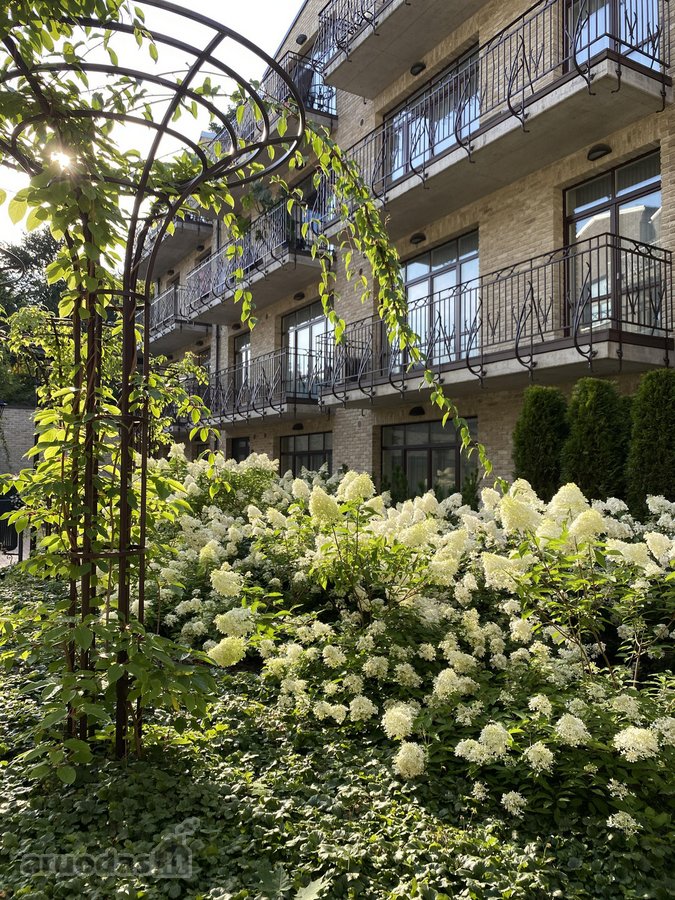 Senamiestyje (Užupyje) Pirmąkart Nuomojamas - Skelbiu.lt