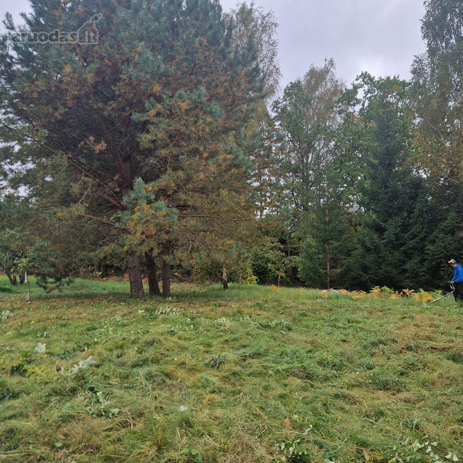 Sklypas, Vilniaus r. Vilkiškių k. sklypas Nekilnojamo turto skelbimai ...