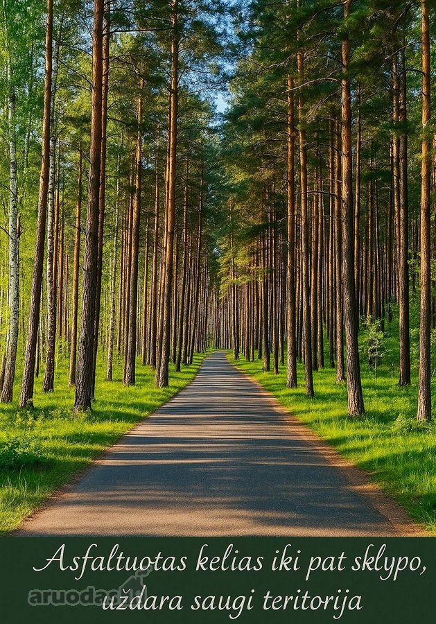 Namas, Vilniuje Antakalnyje Balžio g., mūrinis namas Nekilnojamo turto ...