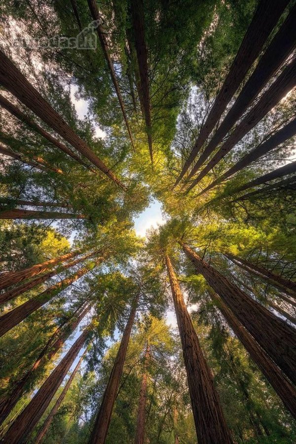Namas, Vilniuje Antakalnyje Balžio g., mūrinis namas Nekilnojamo turto ...