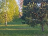 Vyturių g.13. Bendoriai. - Skelbiu.lt