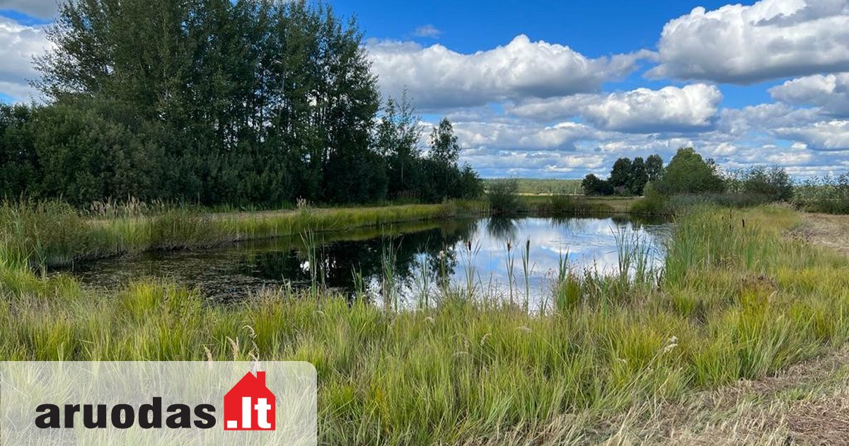 Sklypas, Molėtų r. Miškiškių I k. Miškiškių g. sklypas Nekilnojamo ...