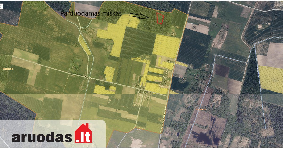 Sklypas, Šiaulių r. Saulučių k. sklypas Nekilnojamo turto skelbimai ...