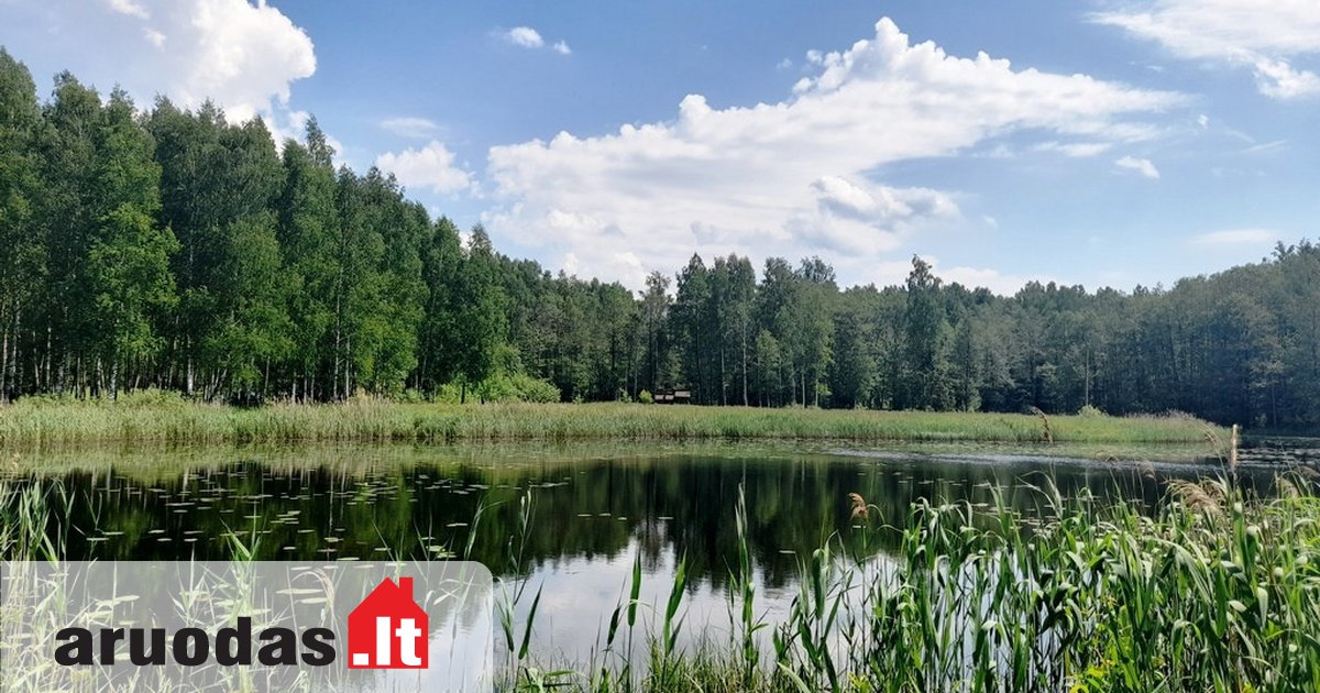 Molėtų rajone parduodamas unikalus žemės - Skelbiu.lt