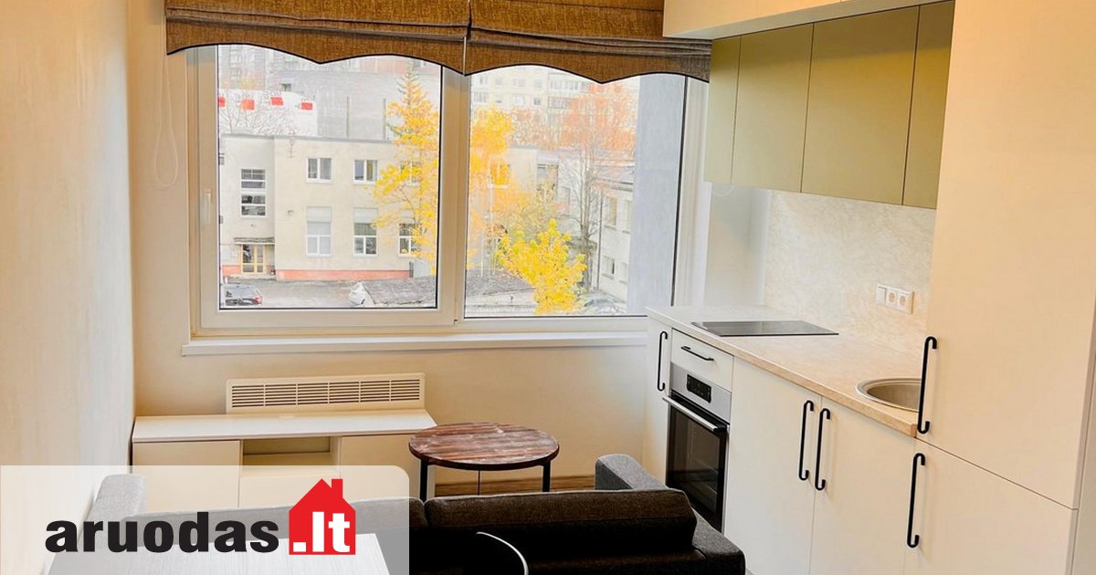 Išnuomojamas 1 Kambario Butas/loftas Šnipiškėse. - Skelbiu.lt