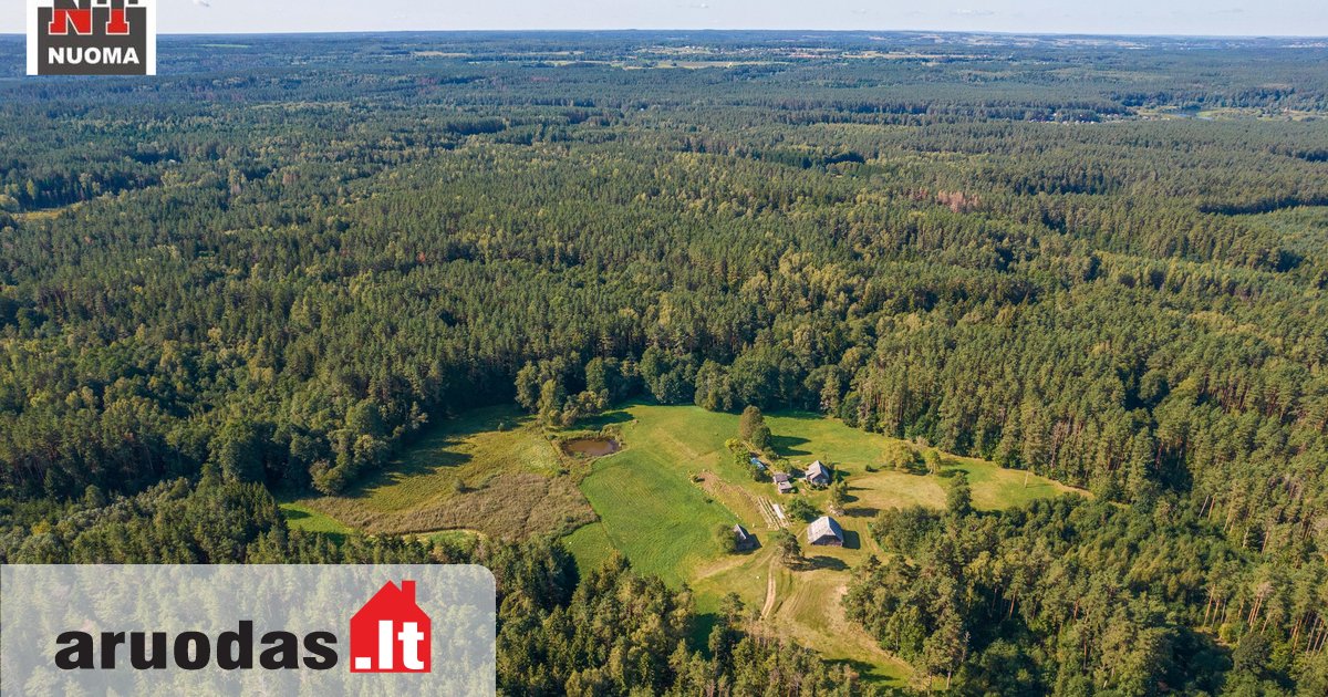 Namas, Vilniaus r. Pylimų k., medinė sodyba Nekilnojamo turto skelbimai ...