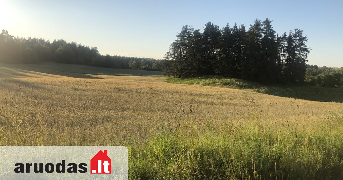 vilniaus r paberze skelbimai - Skelbiu.lt