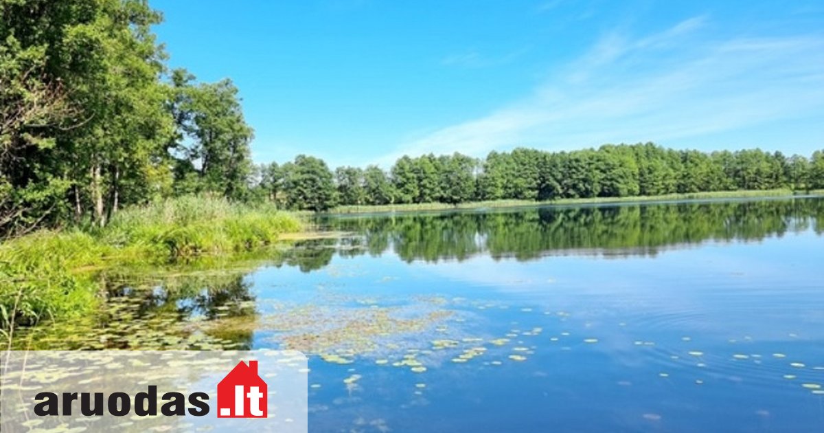 Namas, Zarasų r. Biržūnų k. Pakalnės g., mūrinė sodyba Nekilnojamo ...