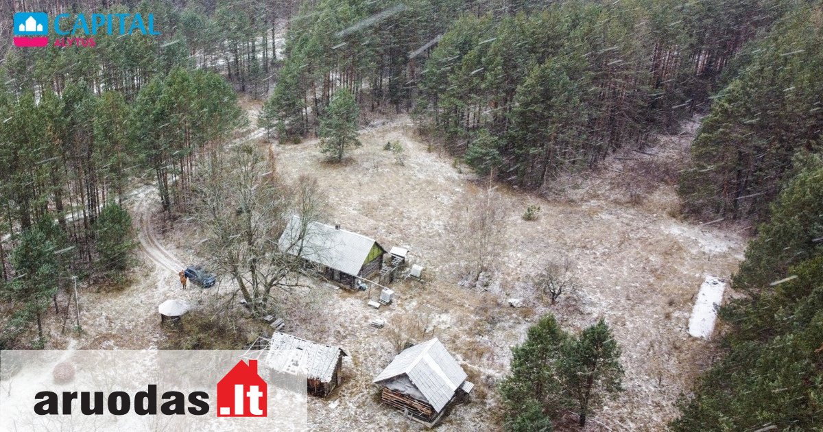 Gudaraistis – Kaimas Varėnos rajono - Skelbiu.lt