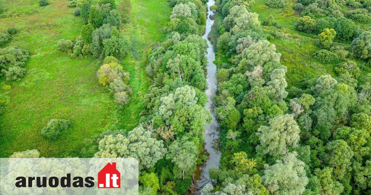 Sklypo plotas 32 ha - Skelbiu.lt