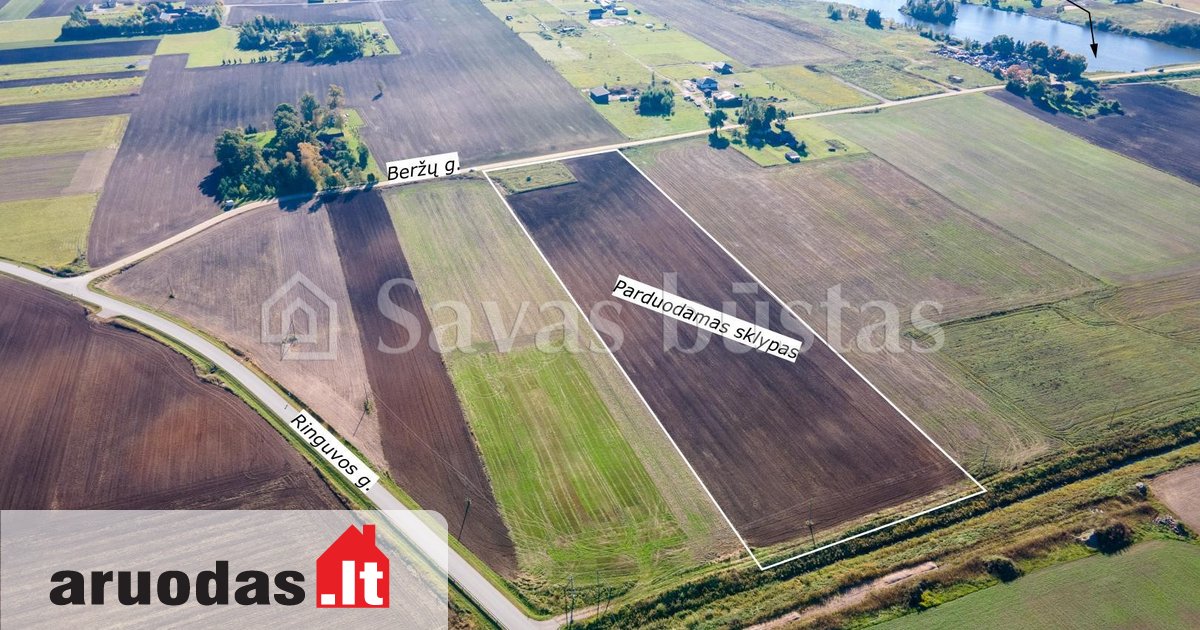 paitai siauliai skelbimai - Skelbiu.lt