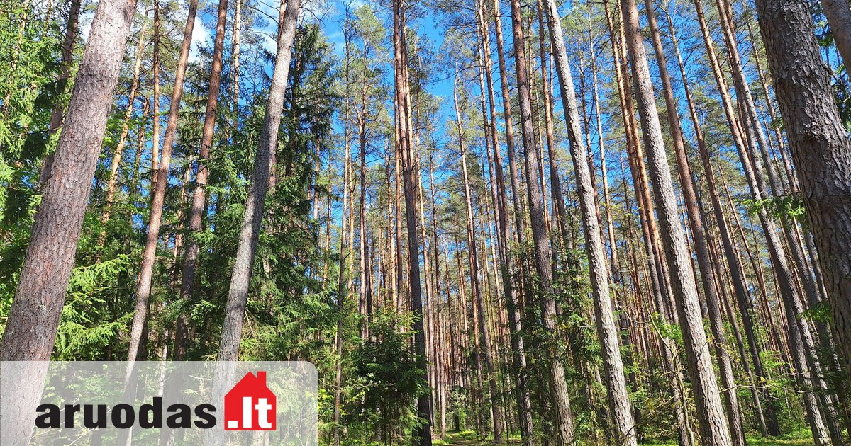 Namas, Vilniuje Antakalnyje Balžio g., mūrinis namas Nekilnojamo turto ...