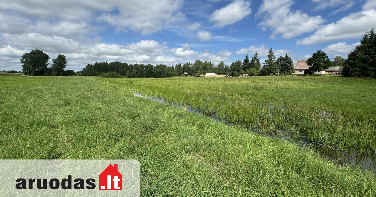 Nedidelis sklypas prie upelio. - Skelbiu.lt