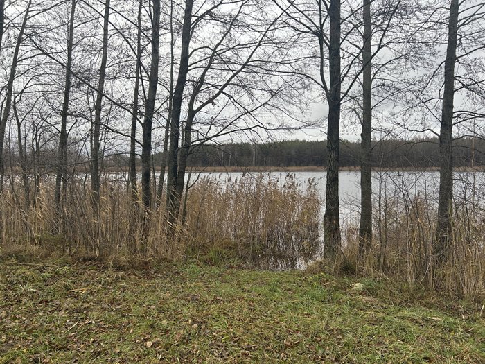 Parduodamas sklypas su ezero pakrante. - Skelbiu.lt