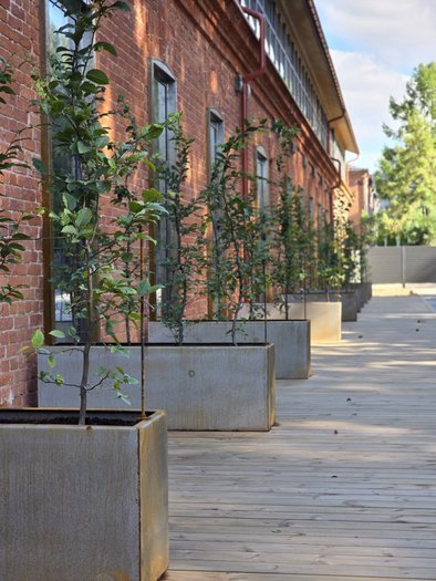 namai freda kaunas skelbimai - Skelbiu.lt