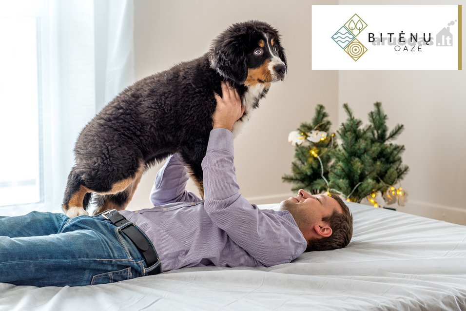 „Bitėnų oazė“ Nekilnojamo turto skelbimai - Aruodas.lt